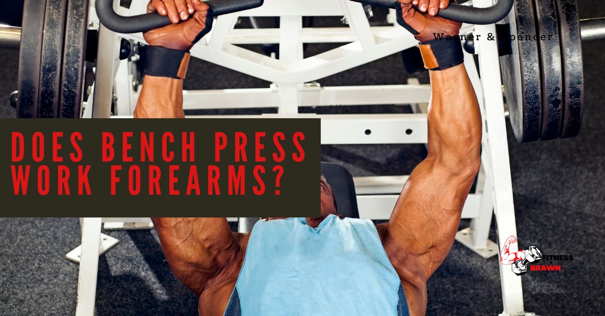 How Heavy is a Bench Press Bar? Find Out - Fitness and Brawn